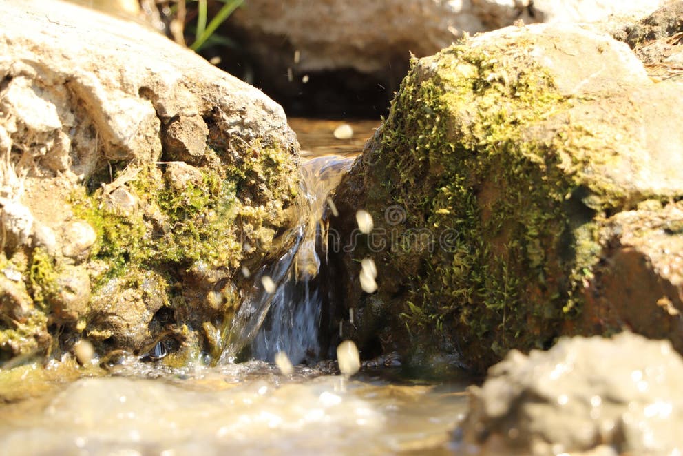 Ground Level Close Up of Mud and Water Sloshing Down a Stream Stock ...