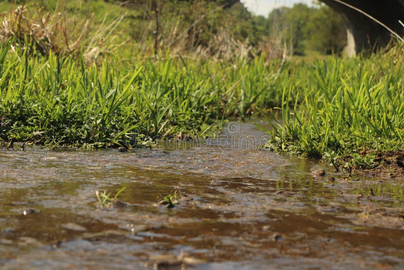 Ground Level Close Up of Mud and Water Sloshing Down a Stream Stock ...