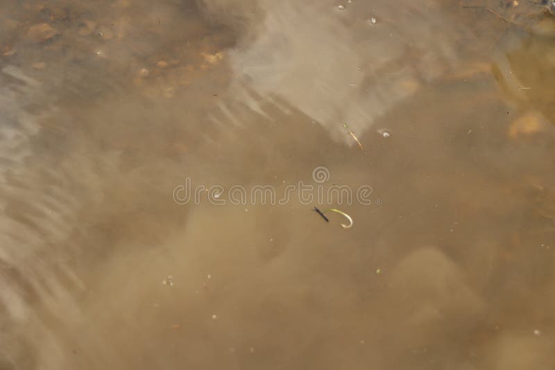 Ground Level Close Up of Mud and Water Sloshing Down a Stream Stock ...