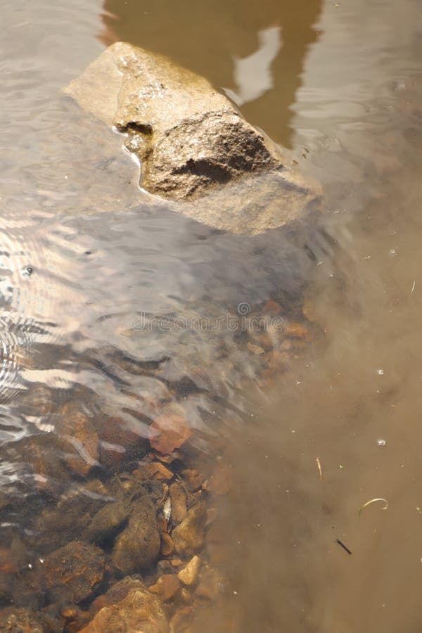 Ground Level Close Up of Mud and Water Sloshing Down a Stream Stock ...