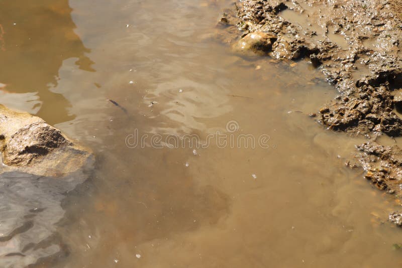 Ground Level Close Up of Mud and Water Sloshing Down a Stream Stock ...