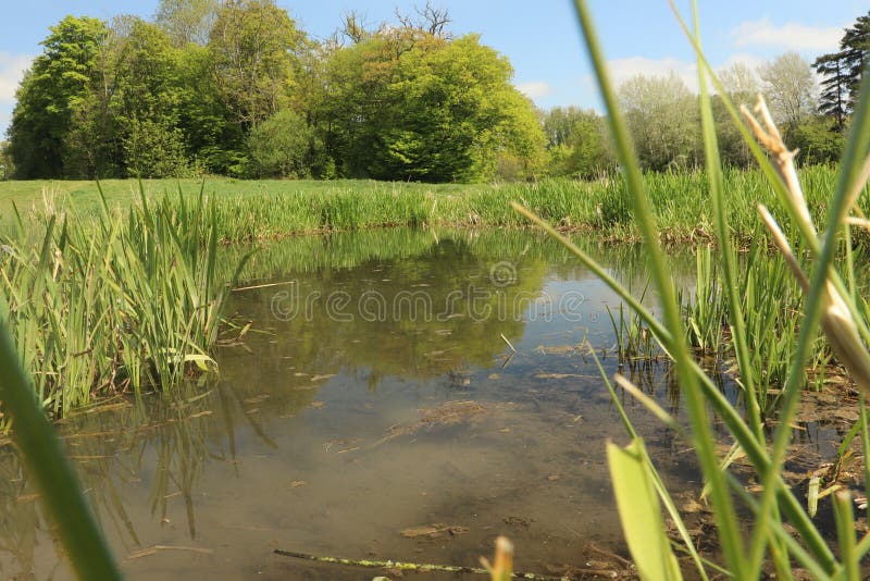 Ground Level Close Up of Mud and Water Sloshing Down a Stream Stock ...
