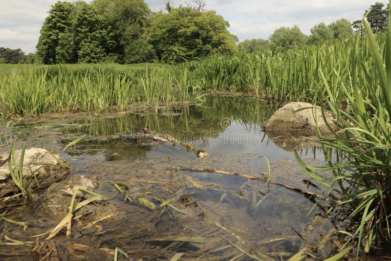 Water Sloshing Stock Photos - Free & Royalty-Free Stock Photos from ...