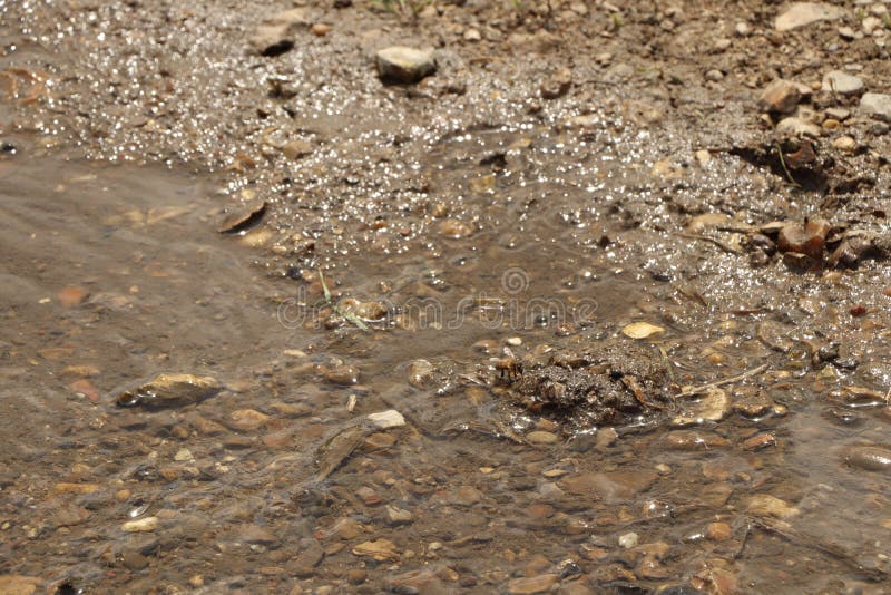 Ground Level Close Up of Mud and Water Sloshing Down a Stream Stock ...
