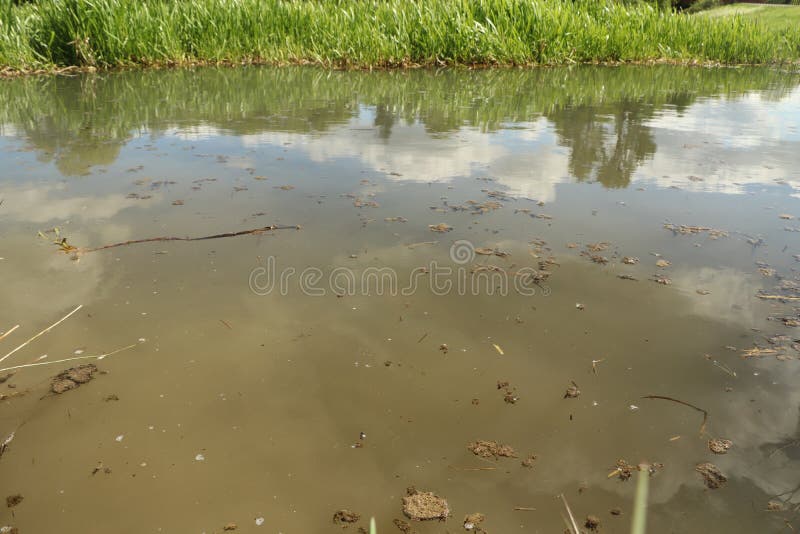 Ground Level Close Up of Mud and Water Sloshing Down a Stream Stock ...