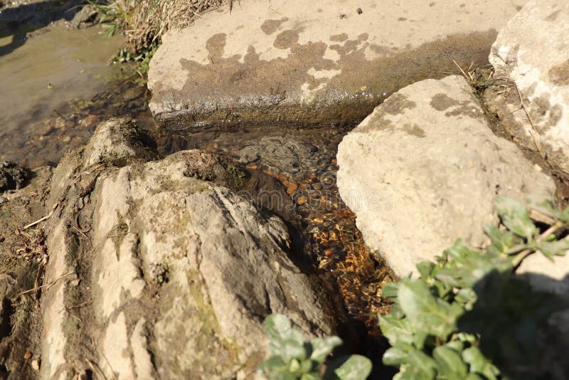 Ground Level Close Up of Mud and Water Sloshing Down a Stream Stock ...