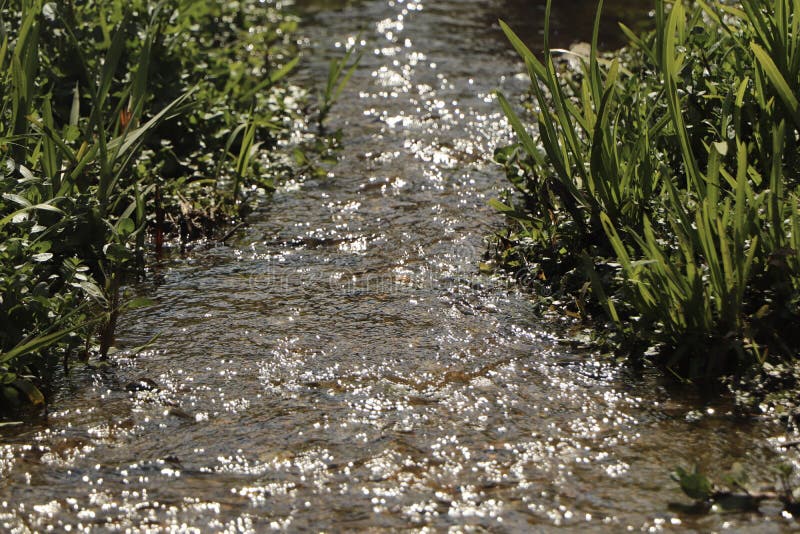 Ground Level Close Up of Mud and Water Sloshing Down a Stream Stock ...