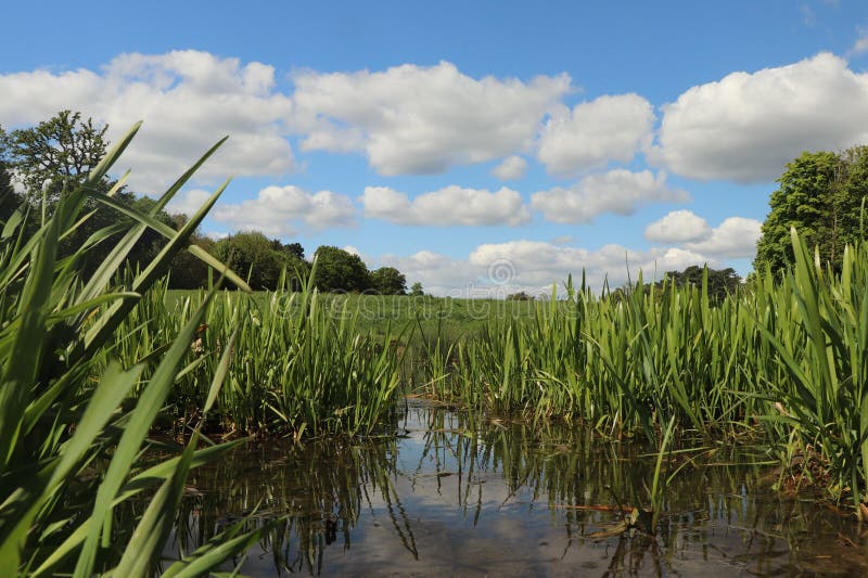 Ground Level Close Up of Mud and Water Sloshing Down a Stream Stock ...