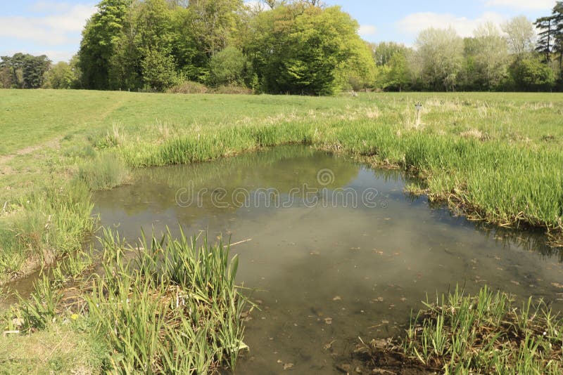 Ground Level Close Up of Mud and Water Sloshing Down a Stream Stock ...