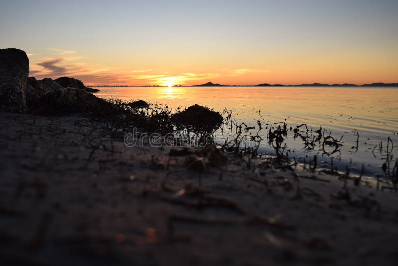 At ground level stock image. Image of sunny, landscape - 117488039