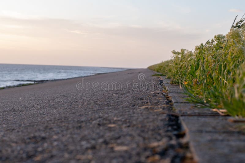 Ground-level Shot of the Road Near the Sea Stock Image - Image of ...