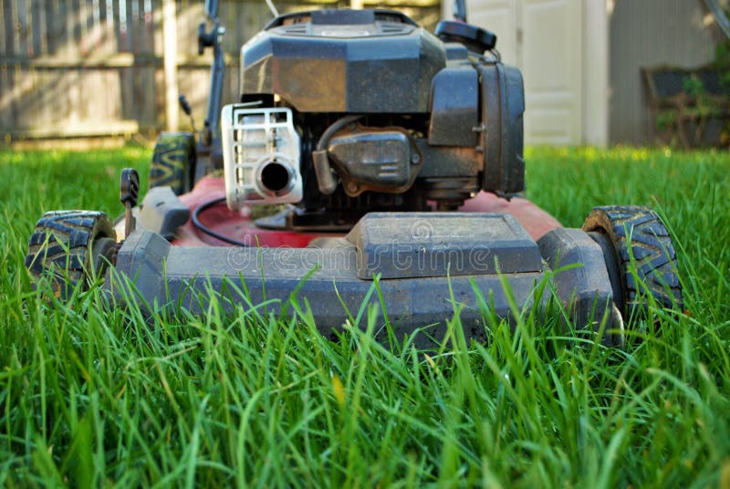 968 Grass Ground Level Level View Stock Photos - Free & Royalty-Free ...