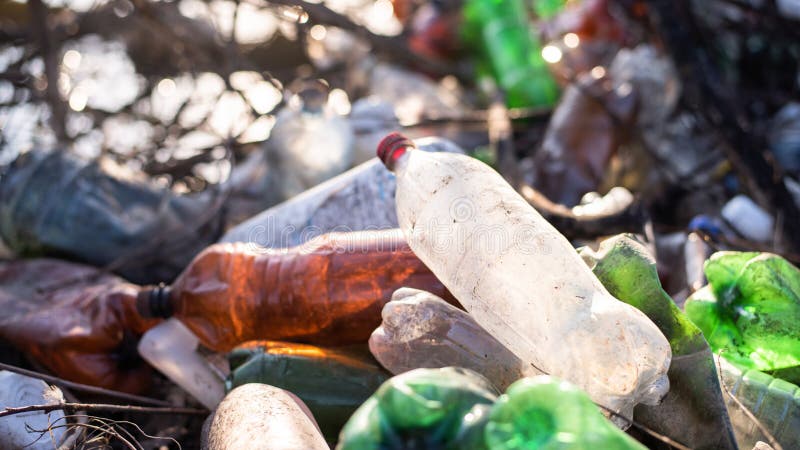 Ground Littered with Plastic Bottles Stock Photo - Image of nature ...