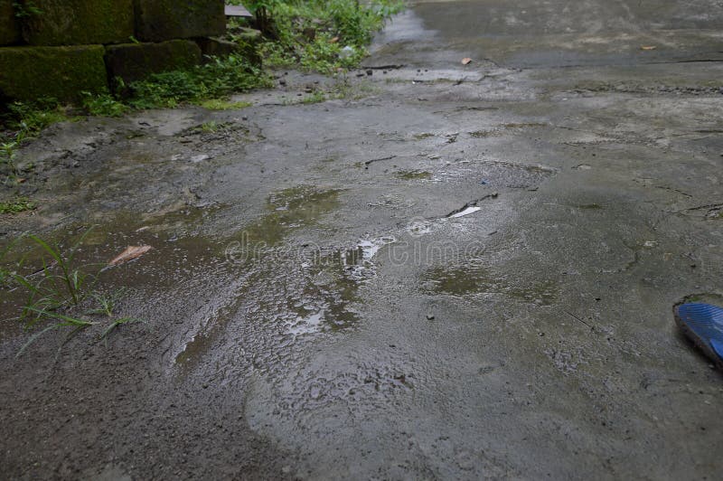 The Ground Looks Wet after it Rains. Stock Photo - Image of neighbors ...