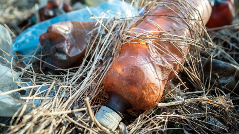 Ground Littered with Plastic Bottles Stock Photo - Image of ...