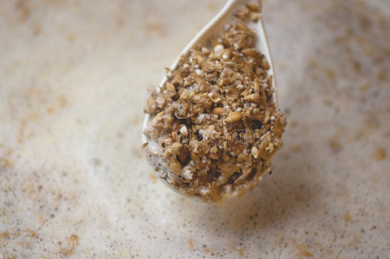 Ground Malt on a Spoon. Process of Making Home Beer from Malt Stock ...