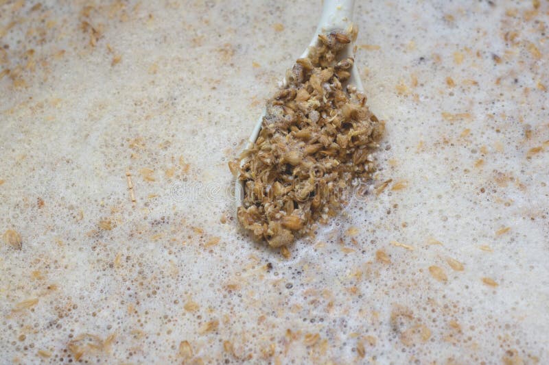 Ground Malt on a Spoon. Process of Making Home Beer from Malt Stock ...