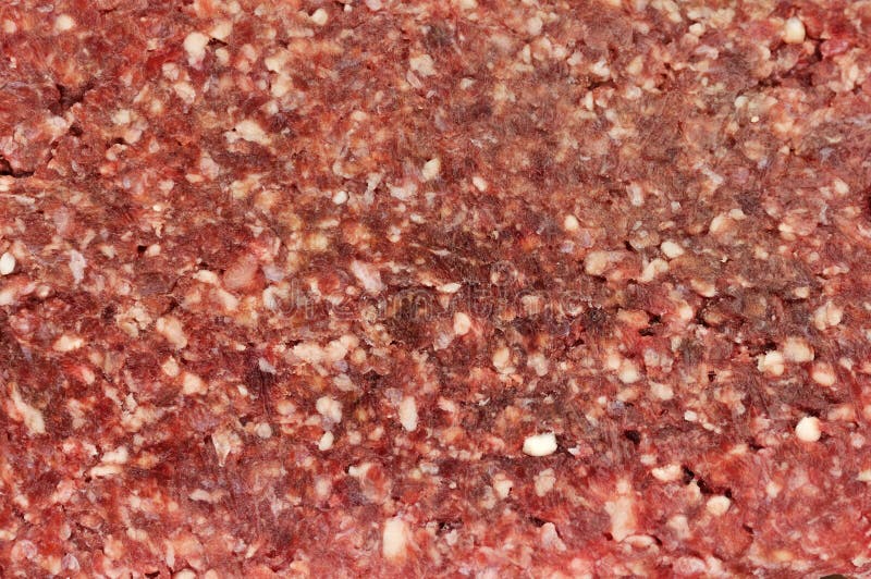 Ground meat stock photo. Image of food, burger, diet - 19377034