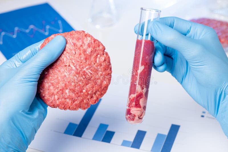 Ground Meat Sample Burger Patty in Lab Scientist Hand. Clean Artificial ...
