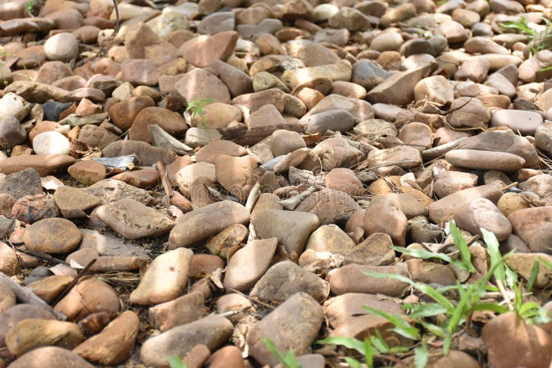 Ground with a mixture stock image. Image of ground, garden - 84547059