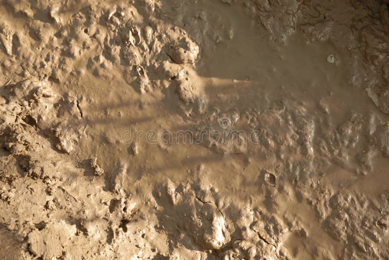 Ground Mud As Background, View from Above Stock Photo - Image of land ...