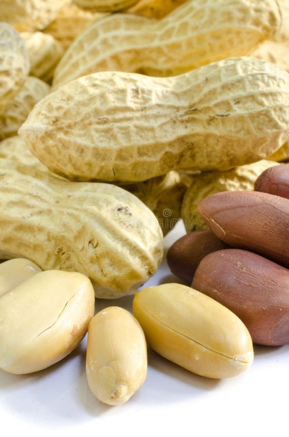 Ground nut stock image. Image of organic, delicious, food - 33431855
