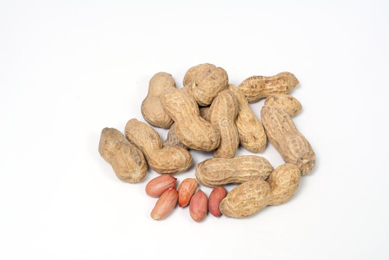 Ground nut stock photo. Image of food, eating, land, background - 54290404