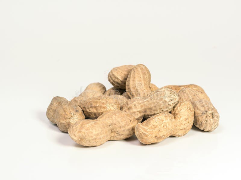 Ground nut stock photo. Image of meal, organic, plant - 54290432