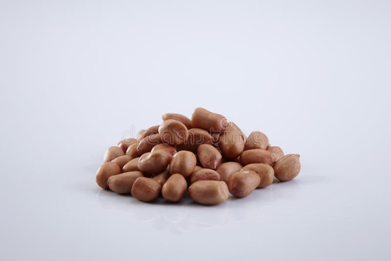 Ground nut stock photo. Image of nature, ground, tasty - 63906254