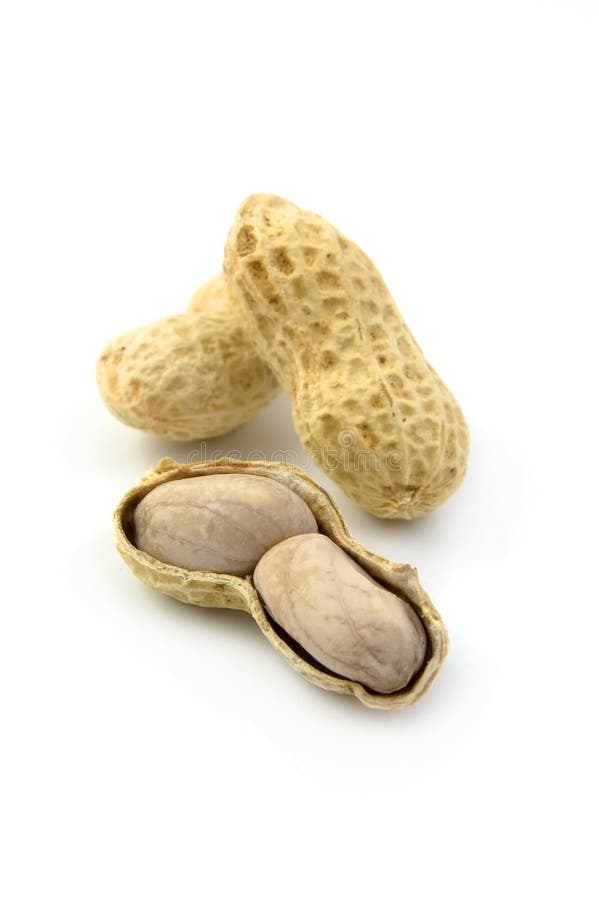 Ground Nuts stock photo. Image of open, protein, groundnut - 836730