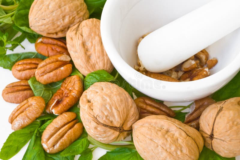 Ground nuts stock photo. Image of natural, shell, cracked - 9241092