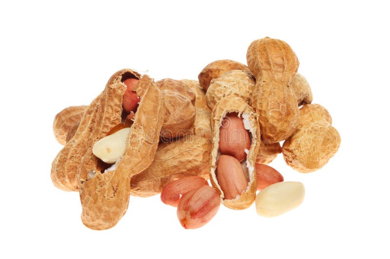 Ground nuts stock photo. Image of shelled, nibble, roasted - 32849706