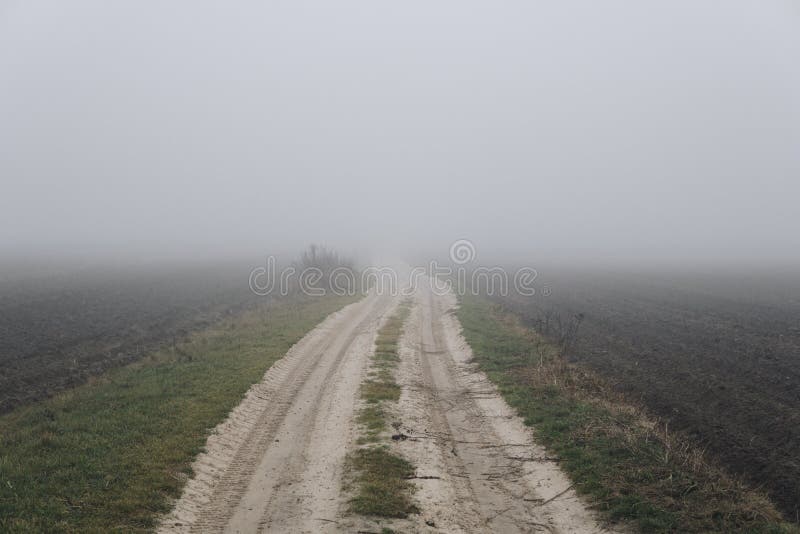 Ground Path between Field Hidden in Fog Stock Image - Image of field ...