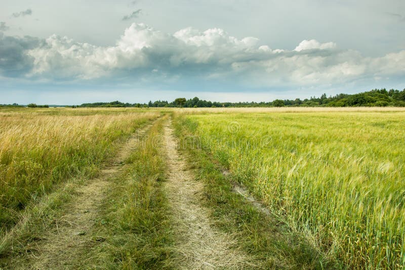 Ground Path through Fields and Gray Clouds and Sky Stock Photo - Image ...