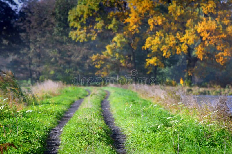 Ground path between meadow stock photo. Image of road - 4713778