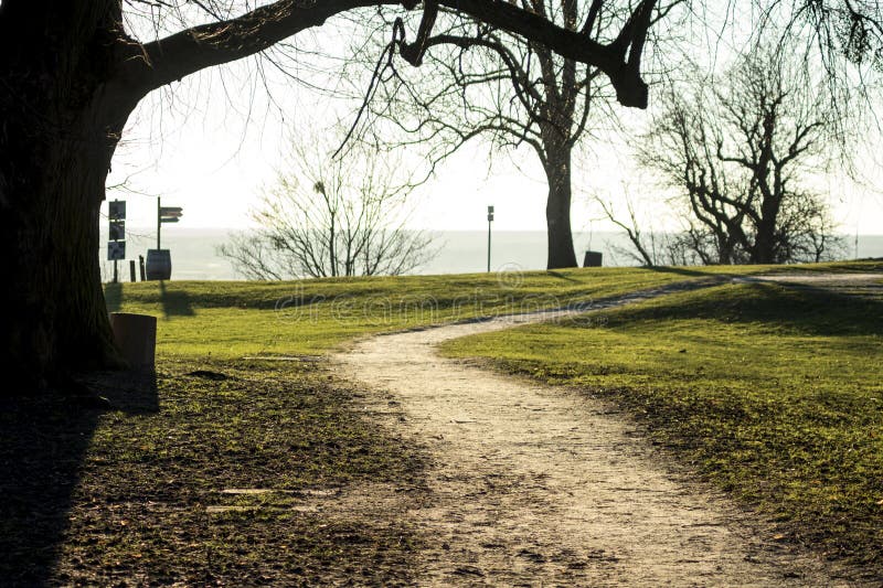 Ground Path through a Park during Autumn Season Stock Photo - Image of ...