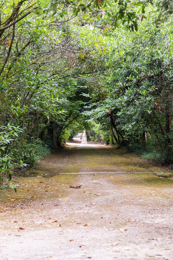 Ground path in the park stock photo. Image of rural - 190774186