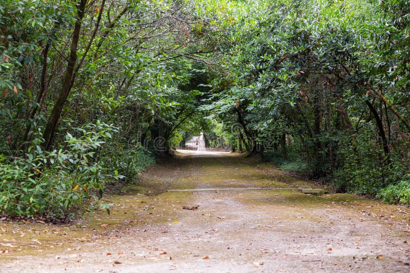 Ground path in the park stock photo. Image of garden - 190774188