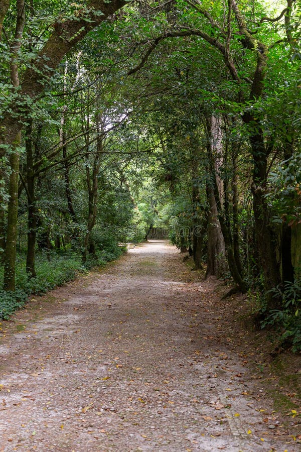 Ground path in the park stock photo. Image of garden - 190774188