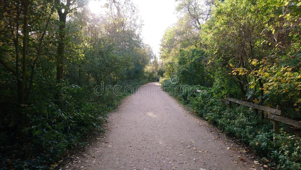 Ground path in the park stock image. Image of scenery - 183159653