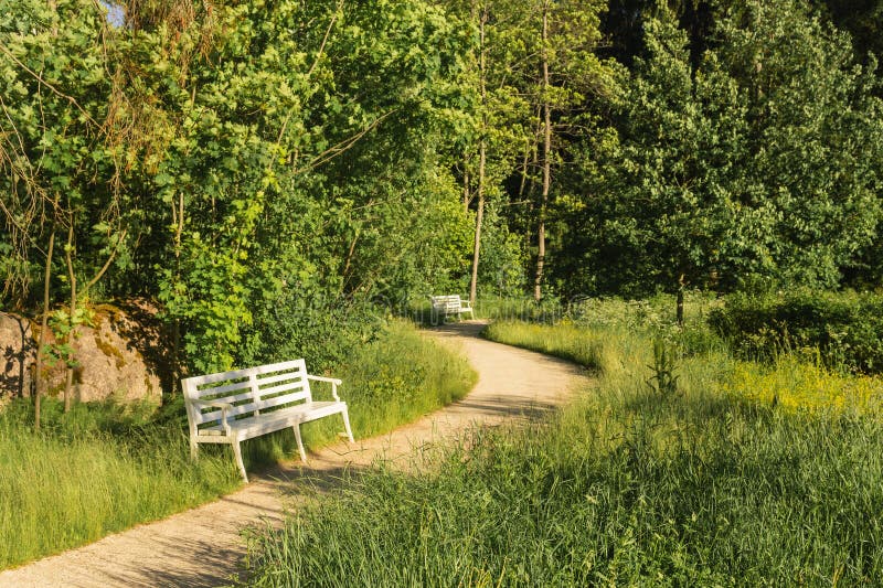Ground Path and Vintage Benches in the Park Stock Photo - Image of ...