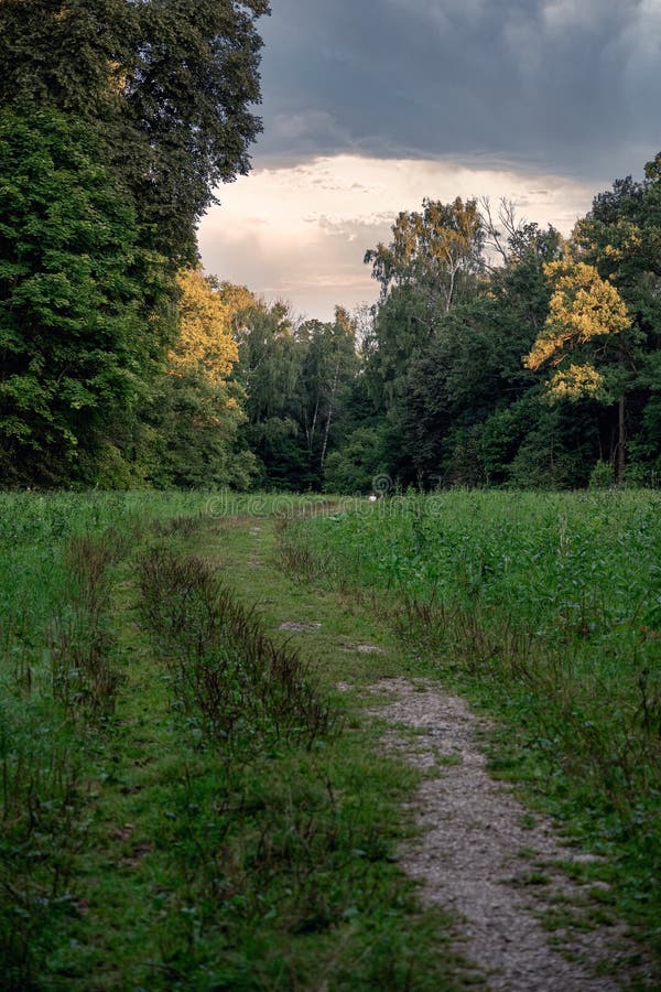 A Ground Pathway among Green Grass and Trees Against the Dark Stormy ...