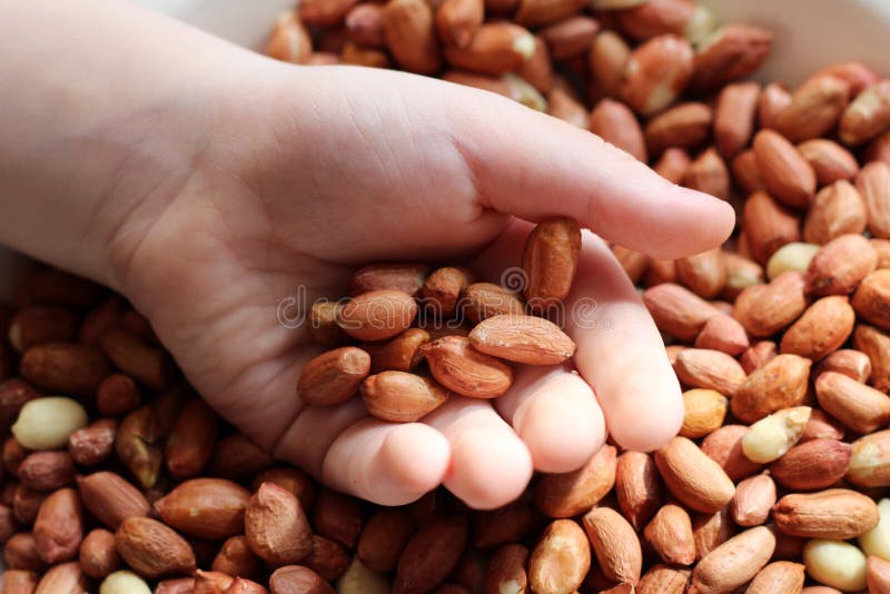 Ground Peanuts in Children`s Hands Stock Photo - Image of holding, dish ...