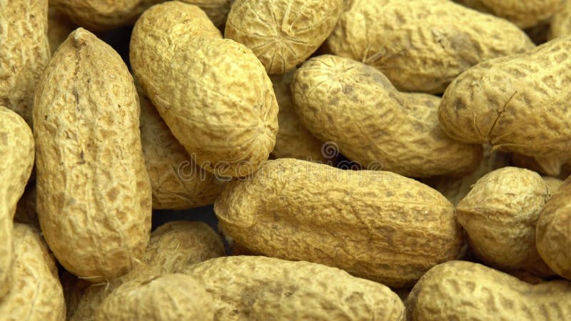 Roasted Peanuts Rotate in a Bawl, Peanuts without Shells, Ground Nuts ...