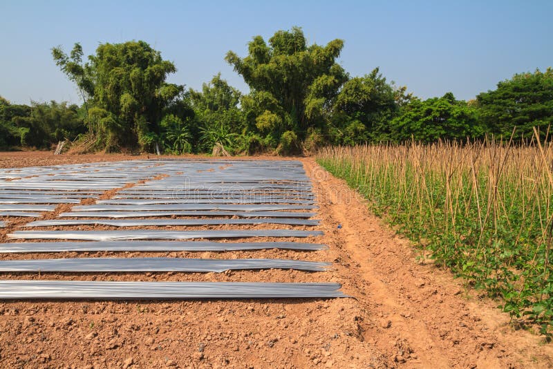 Protecting the Farm Land stock photo. Image of freeze, field - 62772