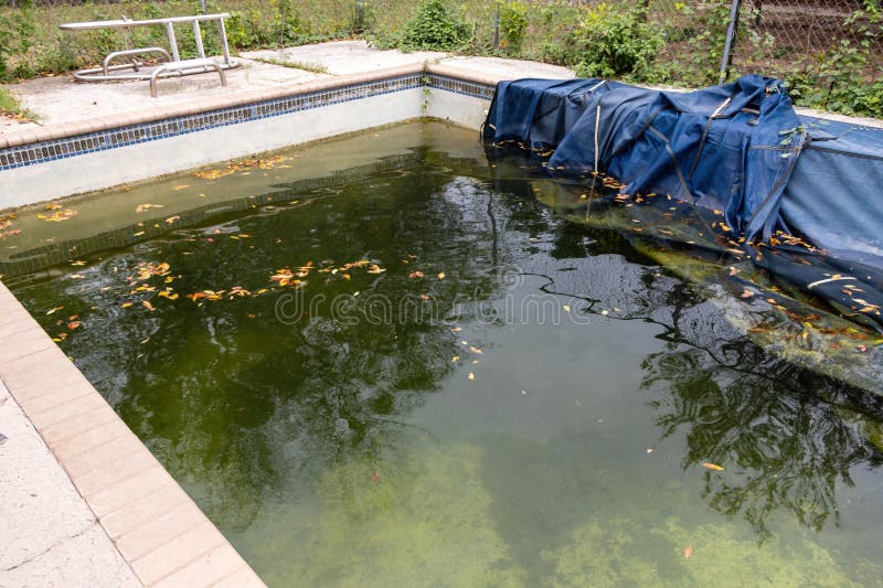 Extremely Dirty Swimming Pool in the Process of Being Cleaned Stock ...