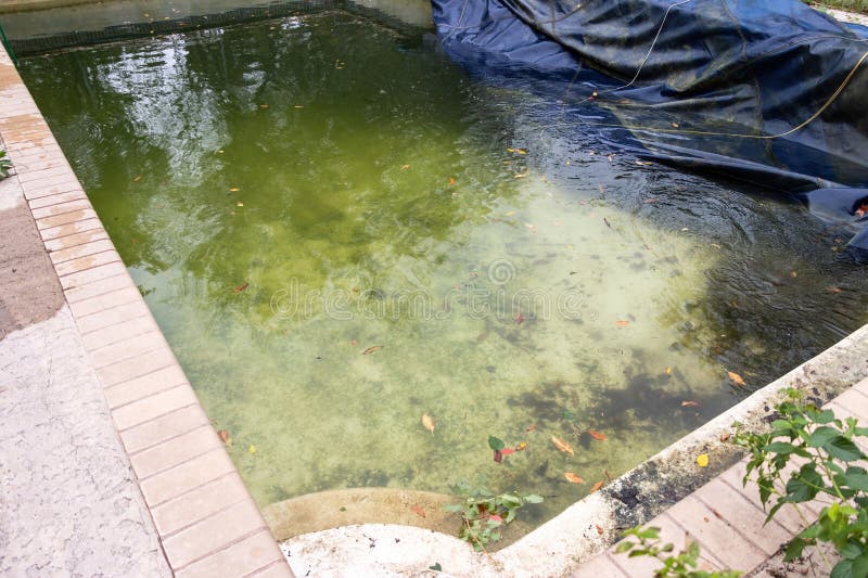 Extremely Dirty Swimming Pool in the Process of Being Cleaned Stock ...