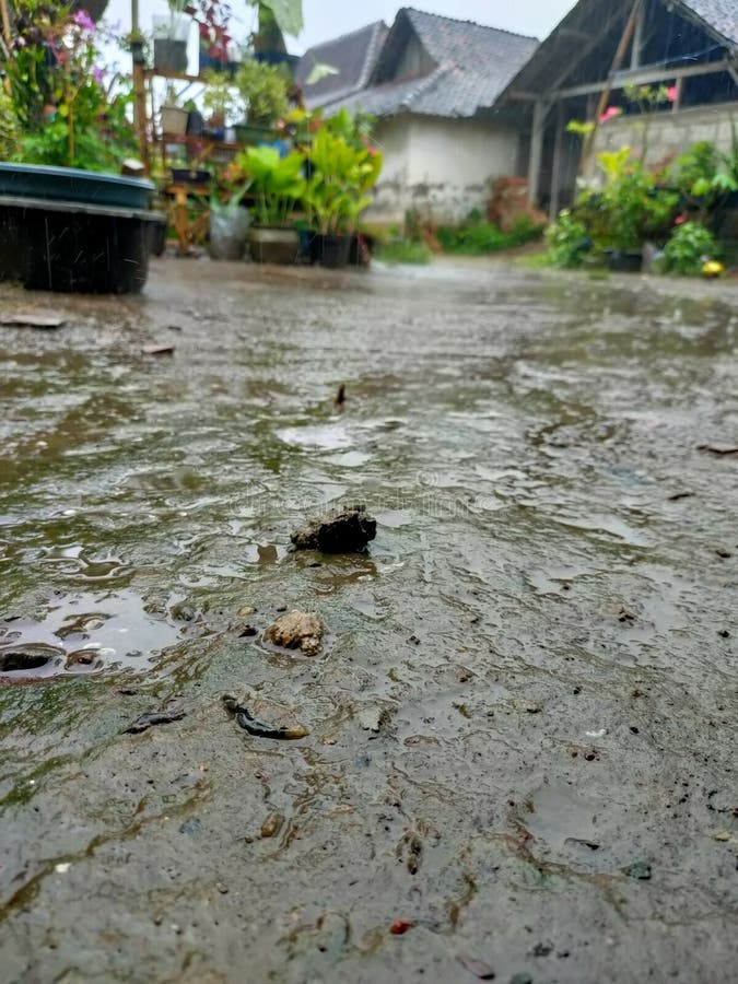 Ground after rain stock image. Image of wall, road, watercourse - 203338381