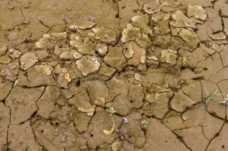 Ground of river dry. stock photo. Image of weather, land - 43489730