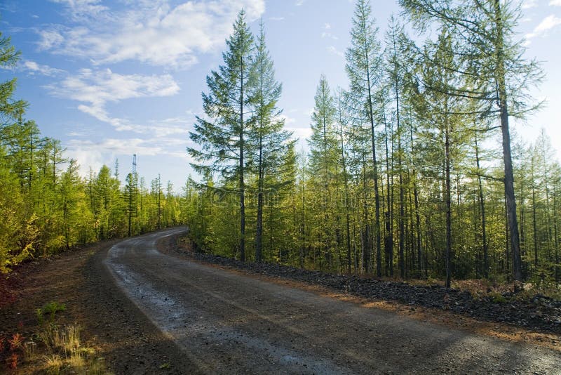 Ground road stock image. Image of foliage, landscape, land - 3168957
